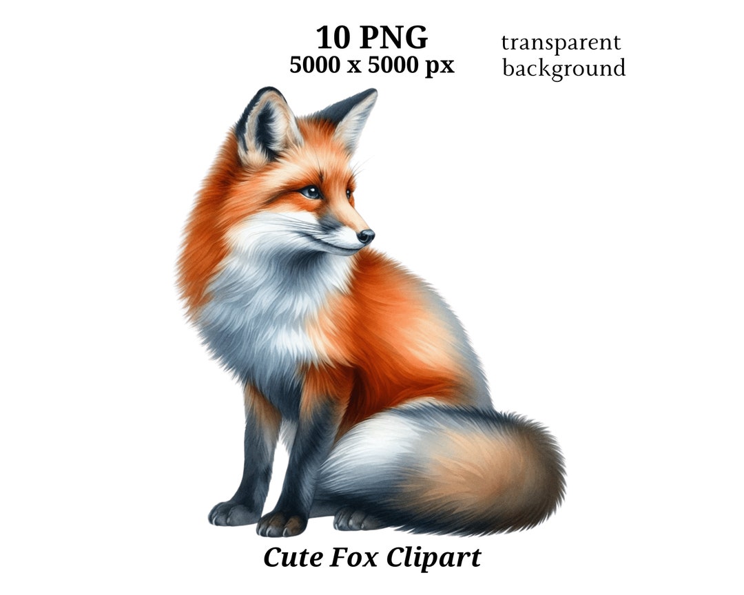 Cute Fox Clipart, 10 High Quality Pngs, Nursery Art, Digital Download ...