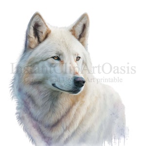 White Wolf Clipart, 10 High Quality Pngs, Nursery Art, Instant Digital ...