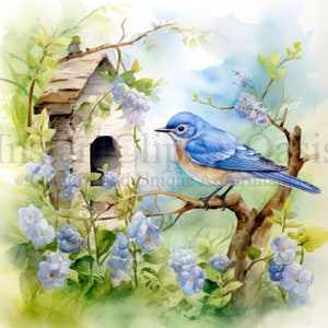 Spring Blue Bird Clipart, 10 High Quality Jpgs, Nursery Art, Instant ...