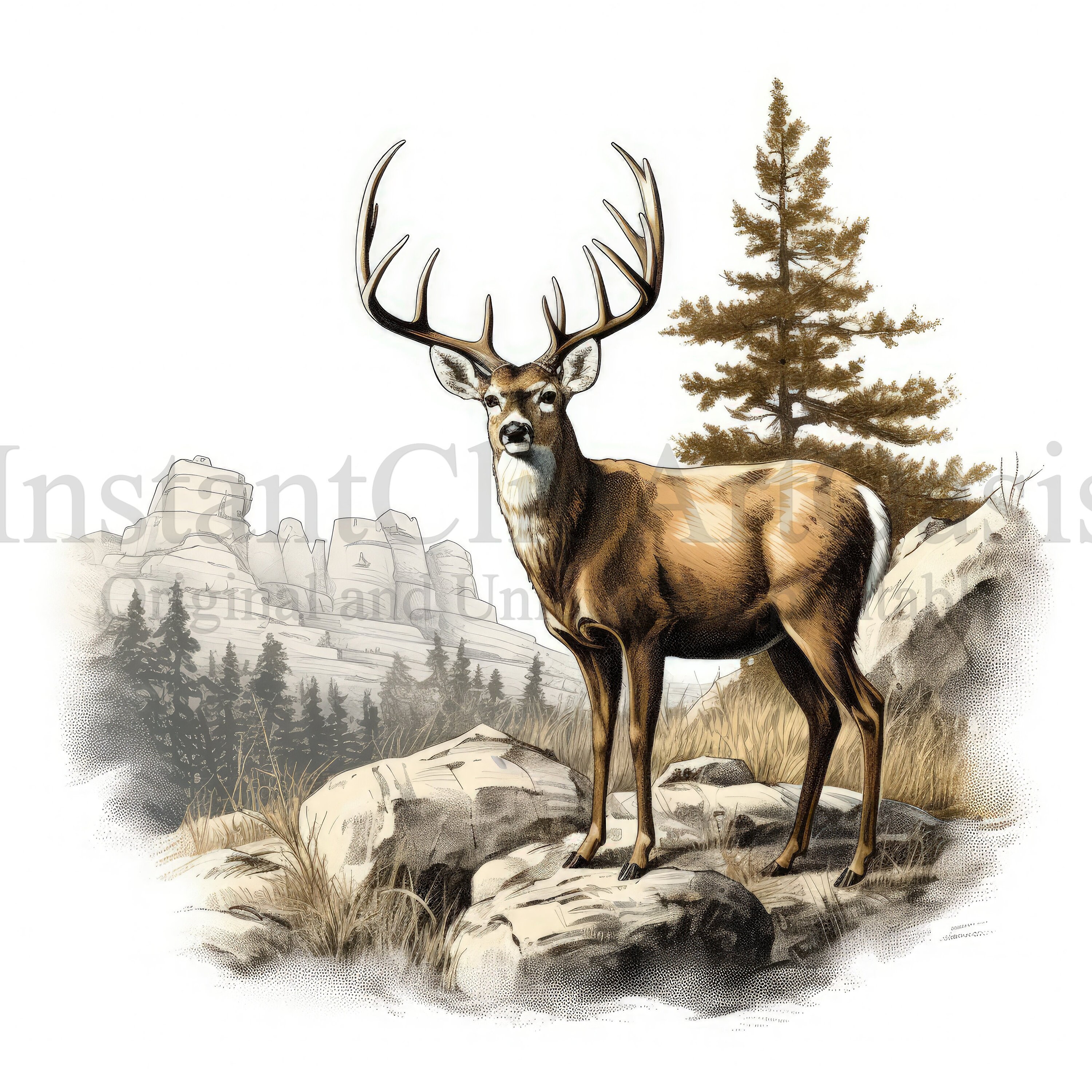 Vintage Deers Clipart, 10 High Quality Jpgs, Digital Download, Vintage ...