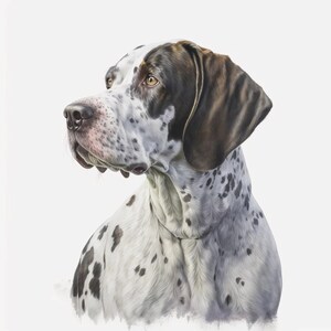 English Pointer Clipart, 8 High Quality Jpgs, Nursery Art, Digital ...