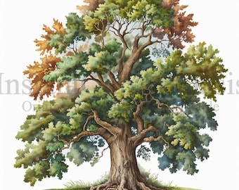 Oak Tree Clipart 45 High Quality Jpgs Digital Download Card Making ...