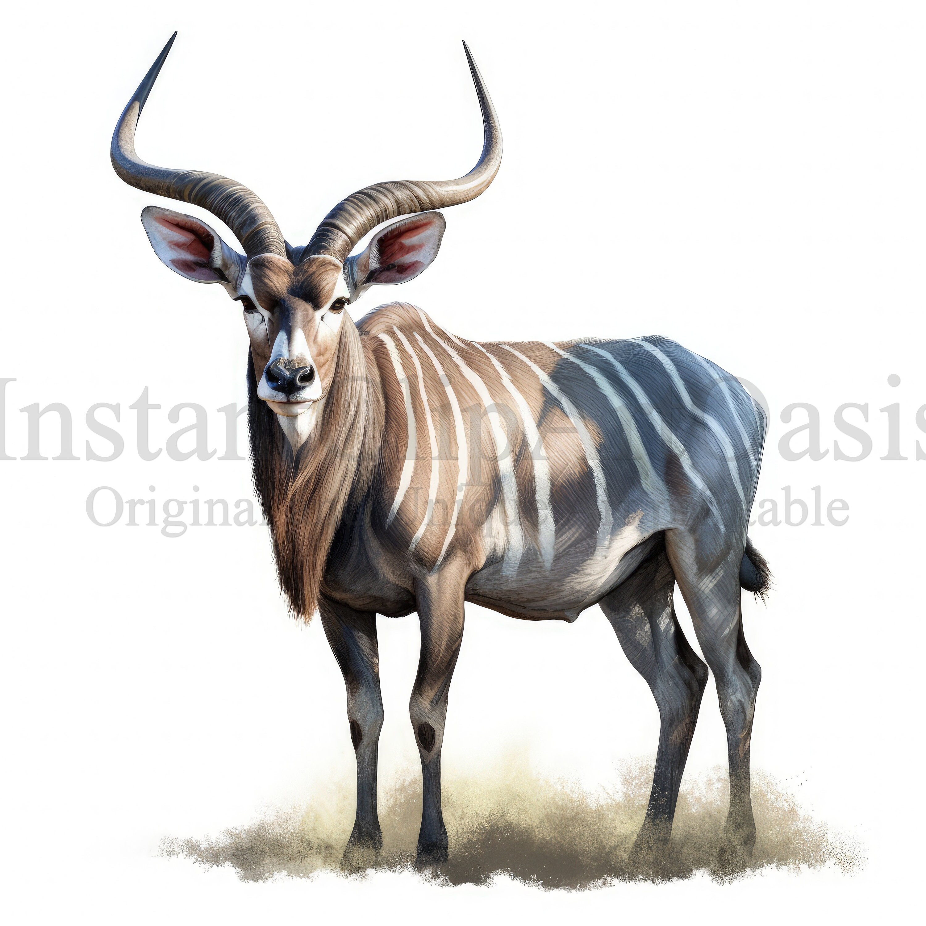 Great Kudu Antelope Clipart, 7 High Quality Jpgs, Instant Digital ...