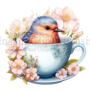Cute Bird in a Cup Clipart, 10 High Quality Jpgs, Instant Digital ...