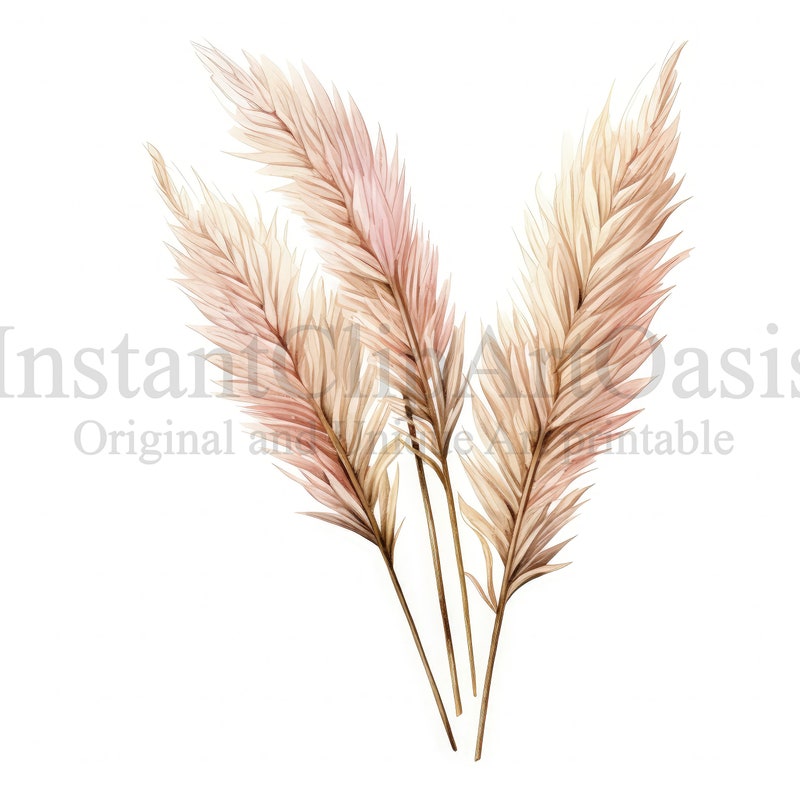 Pampas Grass Clipart - Etsy