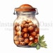 Acorns Jar Clipart, 10 High Quality Jpgs, Vintage Art, Digital Download ...