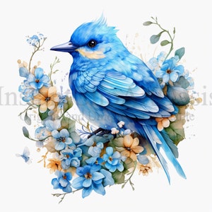 Blue Bird Clipart | Set 3 | 10 High Quality Jpgs, Digital Download ...