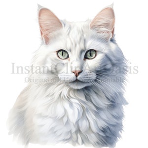 White Cats Clipart, 10 High Quality Pngs, Nursery Art, Digital Download ...