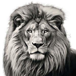 Lion Greyscale Clipart - 10 High Quality Pngs, Digital Download, Card ...