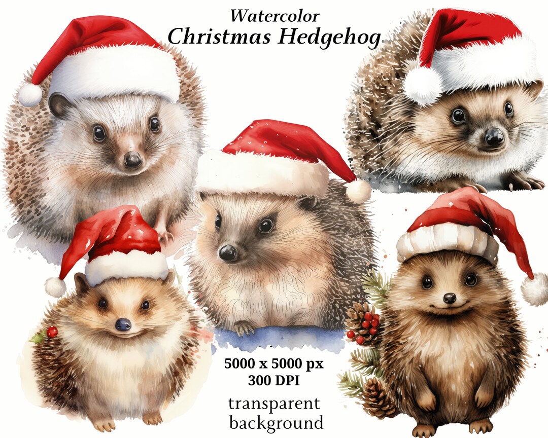 Christmas Hedgehogs Clipart, 10 High Quality Pngs, Christmas Clipart ...