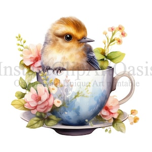 Cute Bird in a Cup Clipart, 10 High Quality Jpgs, Instant Digital ...