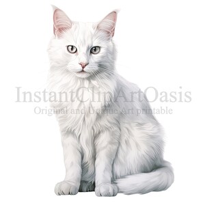 White Cats Clipart, 10 High Quality Pngs, Nursery Art, Digital Download ...