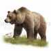 Grizzly Bear Clipart 10 High Quality Jpgs Nursery Art Card - Etsy