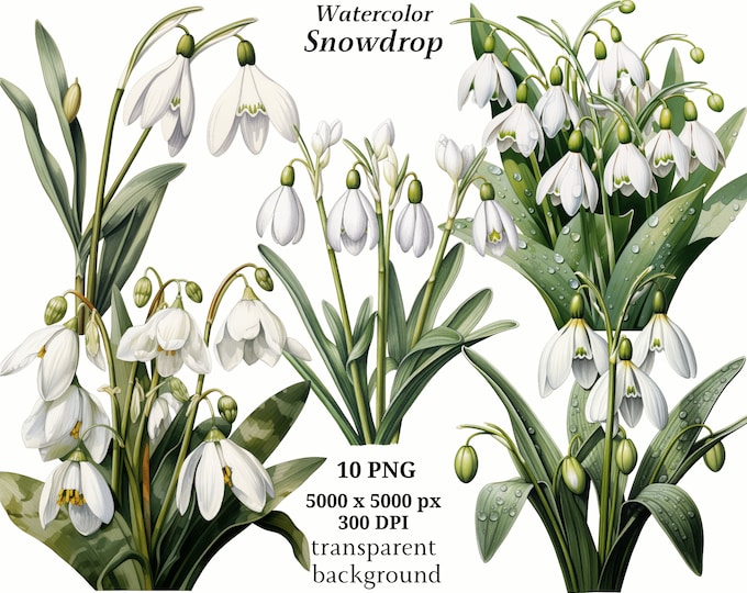 10 Snowdrop Flowers Clipart Bundle, PNG & JPG, Printable Patchwork ...
