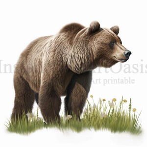 Grizzly Bear Clipart, 10 High Quality Jpgs, Nursery Art | Card Making ...