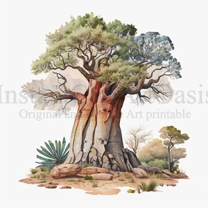 Baobab Clipart, 10 High Quality Jpgs, Botanical Art, Digital Download ...