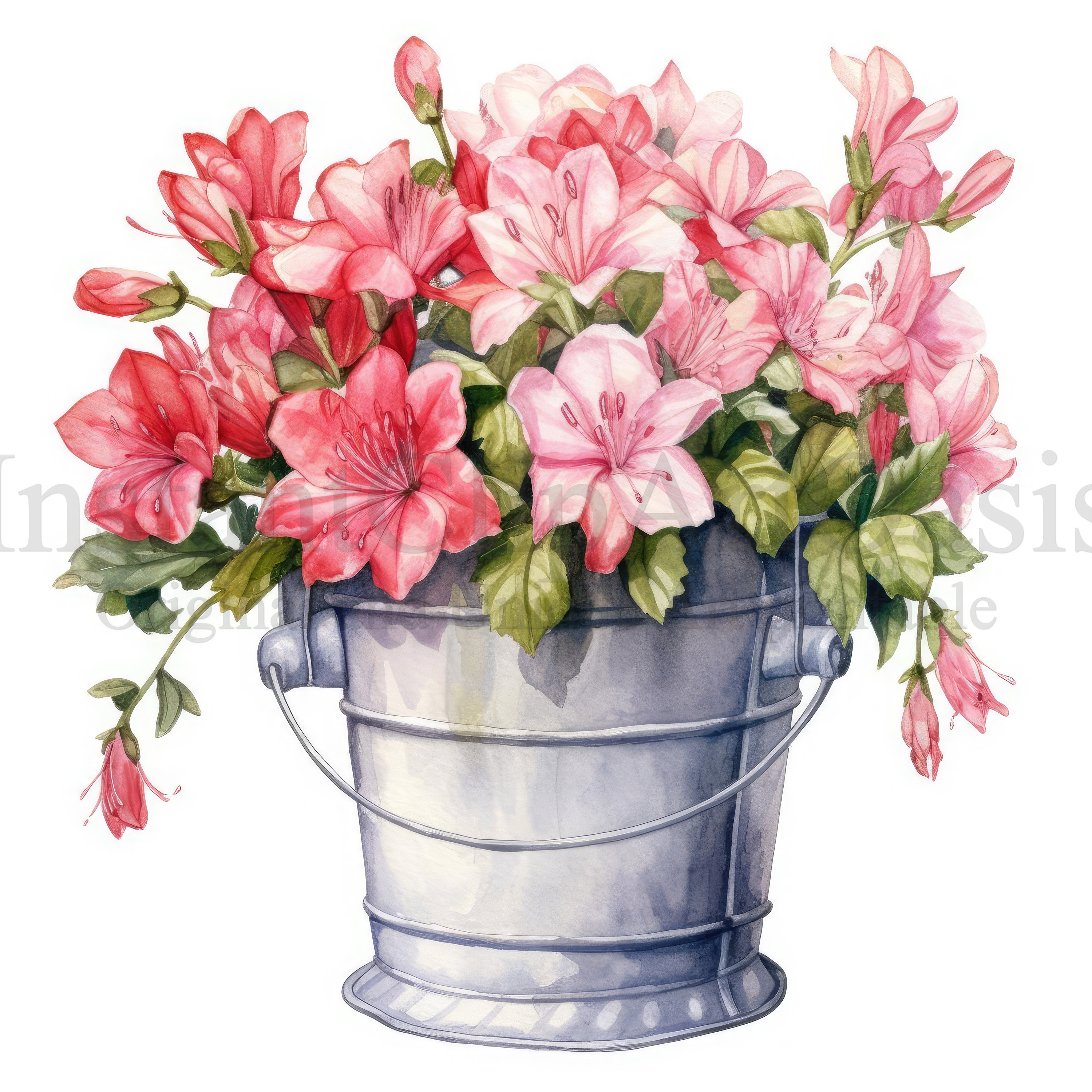Azalea Bucket Clipart, 13 High Quality Jpgs, Card Making, Azalea Clip ...