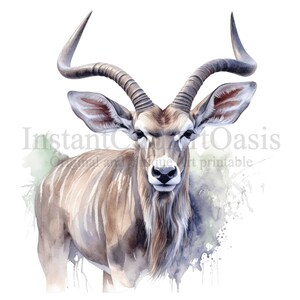 Great Kudu Clipart, 7 High Quality Pngs Transparent Background, Nursery ...