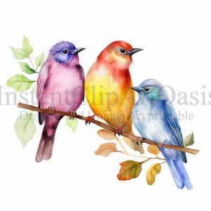Colorful Birds Clipart, 10 High Quality Jpgs, Nursery Art, Instant ...
