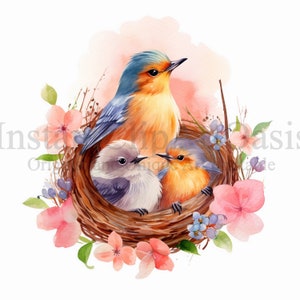 Bird Nest Clipart, 9 High Quality Jpgs, Nursery Art, Instant Digital ...