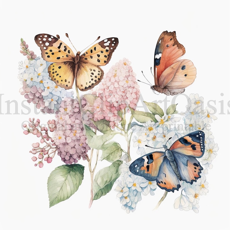 Florals Butterfly Clipart 10 High Quality Jpgs Nursery Art - Etsy
