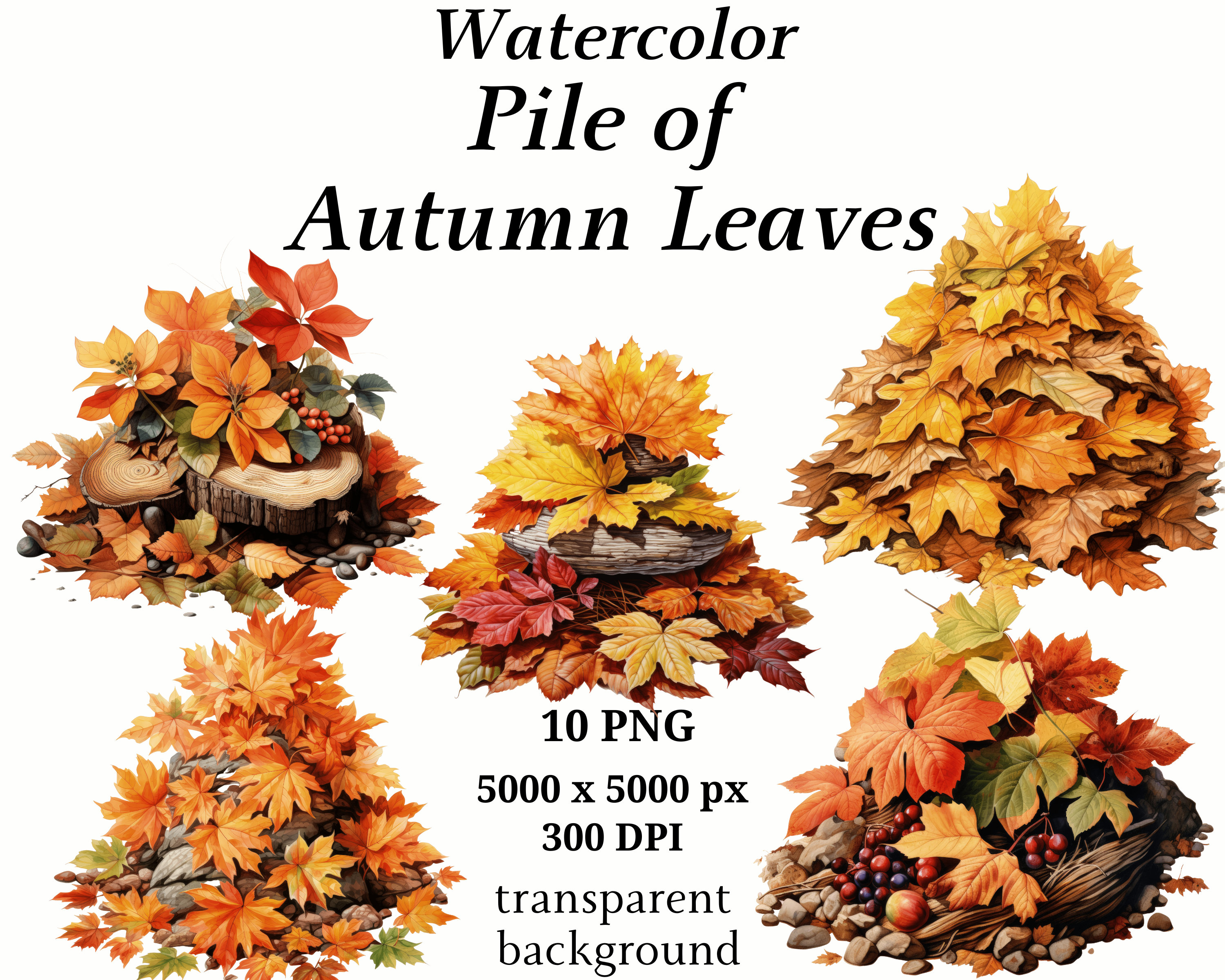Fall Leaves Pile Png