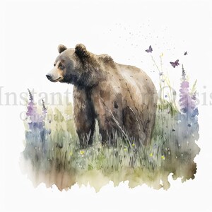 Bear in a Meadow Clipart, 10 High Quality Jpgs, Digital Download, Card ...