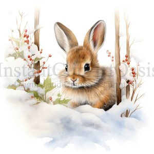 Winter Rabbits Clipart, 10 High Quality Jpgs, Digital Planners, Junk ...