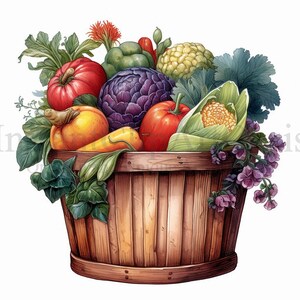 Vegetables Basket Clipart, 10 High Quality Jpgs, Junk Journaling ...