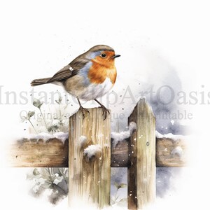 Winter Robin Clipart, 10 High Quality Jpgs, Nursery Art, Instant ...