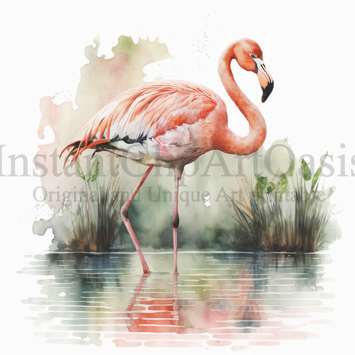 Flamingo Clipart, 10 High Quality Jpgs, Nursery Art | Card Making, Clip ...