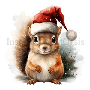 Christmas Squirrell Clipart, 10 High Quality Pngs, Christmas Clipart ...
