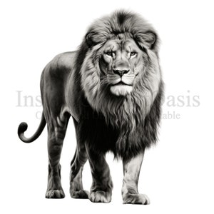 Lion Greyscale Clipart - 10 High Quality Pngs, Digital Download, Card ...