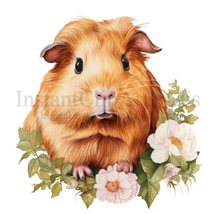 Cute Guinea Pig Clipart, 9 High Quality Pngs, Nursery Art | Card Making ...