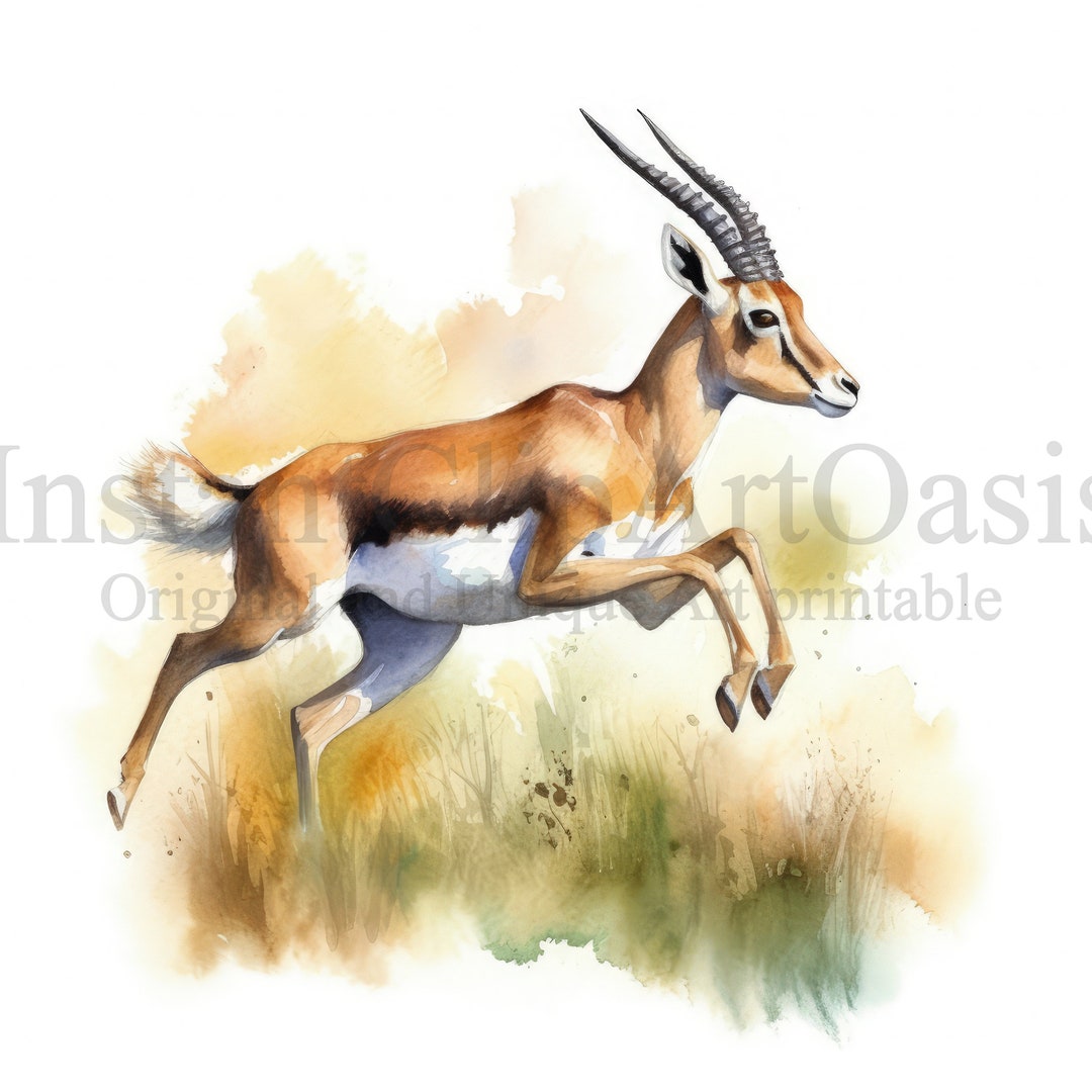 Thomson Gazelle Clipart, 7 High Quality Jpgs, Instant Digital Download ...