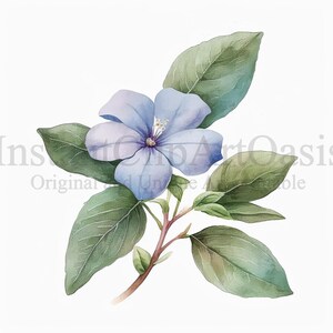 Blue Flowers Clipart, 10 High Quality Jpgs, Botanical Art, Digital ...
