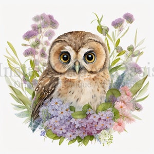 Floral Owls Clipart, 10 High Quality Jpgs, Nursery Art, Digital Planner ...