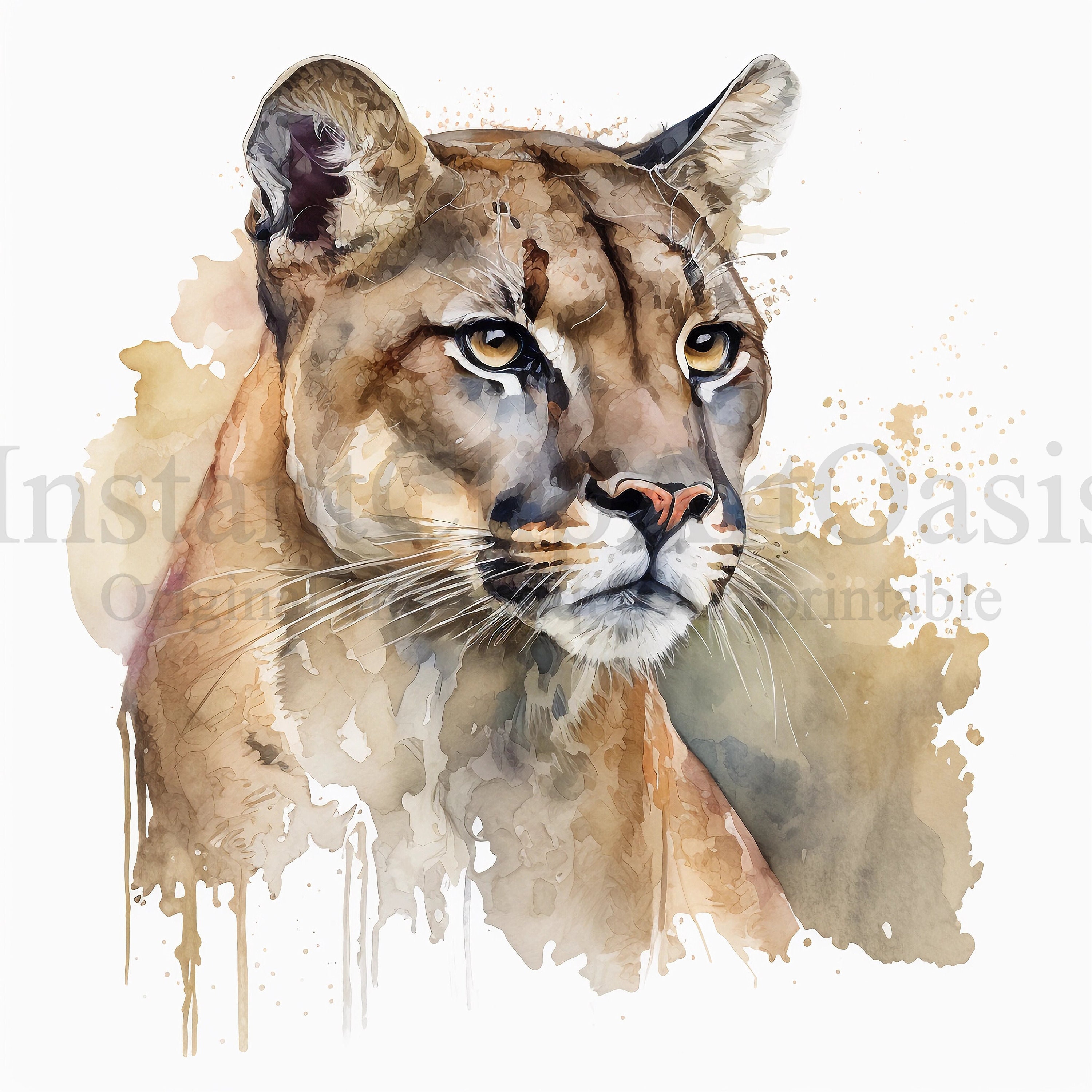Cougar Clipart, 10 High Quality Jpgs, Nursery Art, Instant Digital ...
