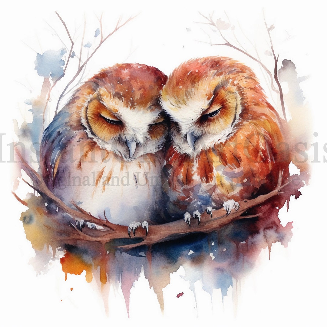 Sleepy Owls Clipart, 12 High Quality Jpgs, Nursery Art | Card Making ...