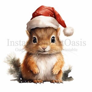 Christmas Squirrell Clipart, 10 High Quality Pngs, Christmas Clipart ...