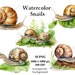 Watercolor Snails Clipart, 10 High Quality Pngs, Digital Download ...