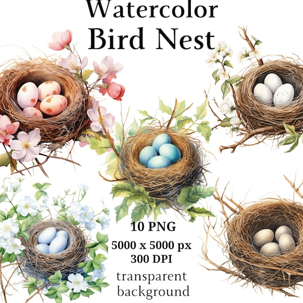 Bird Nest Art - Etsy