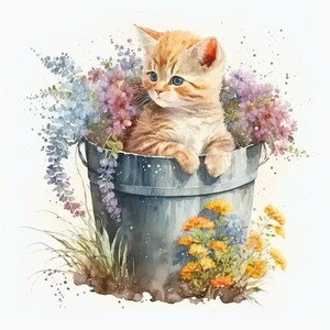 Cats in a Bucket Clipart, 9 High Quality Jpgs, Digital Download, Card ...