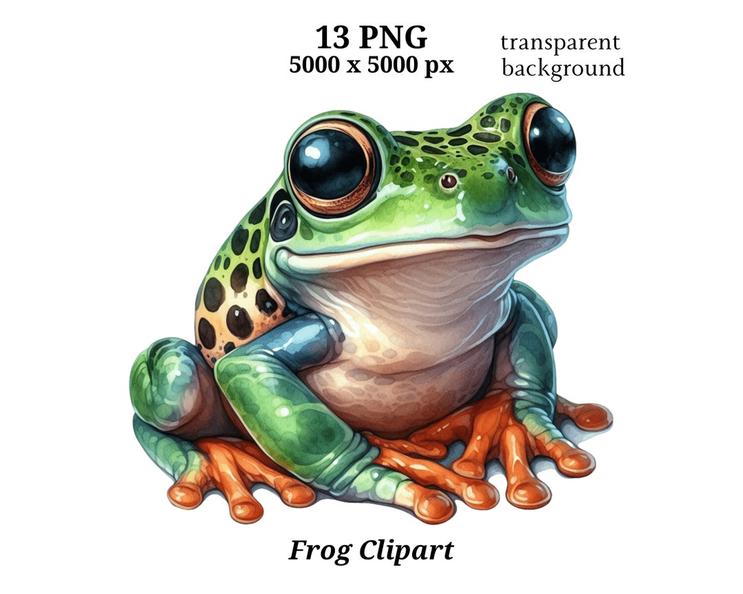 Colorful Frog Clipart - High Resolution Digital Download, Cute ...
