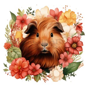 Cute Guinea Pig Clipart, 9 High Quality Pngs, Nursery Art | Card Making ...