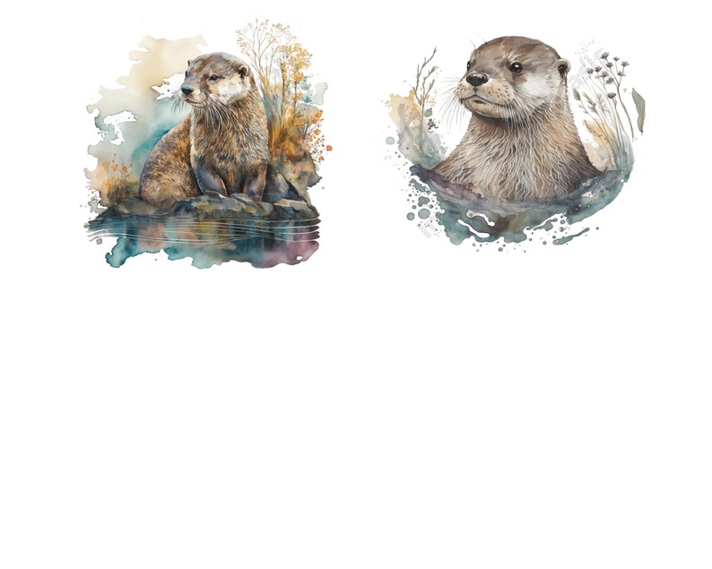 Otter Clipart, 10 High Quality Pngs Transparent Background | Card ...