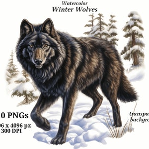 Winter Wolves Clipart, 10 High Quality Pngs, Digital Download, Card ...