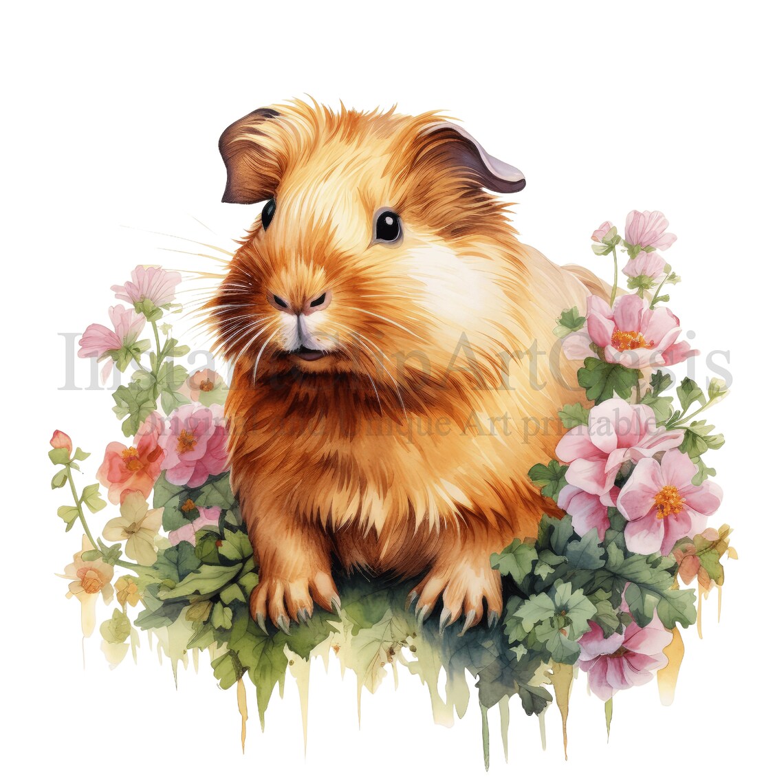 Cute Guinea Pig Clipart, 9 High Quality Pngs, Nursery Art | Card Making ...