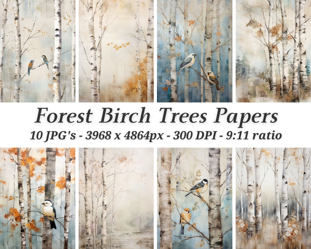 Forest Birch Trees Papers, 10 High Quality Jpgs, Vintage Illustration ...