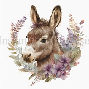 Floral Donkeys Clipart, 10 High Quality Jpgs, Nursery Art, Digital ...